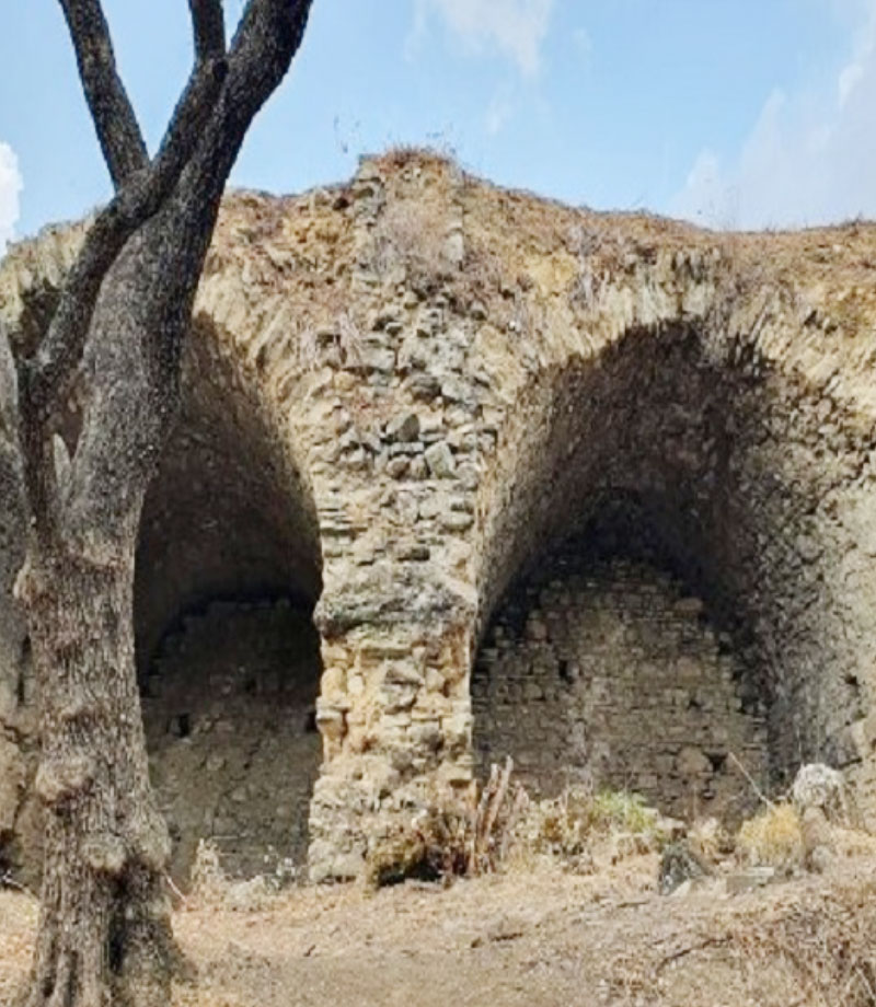 Discover The Nazilli